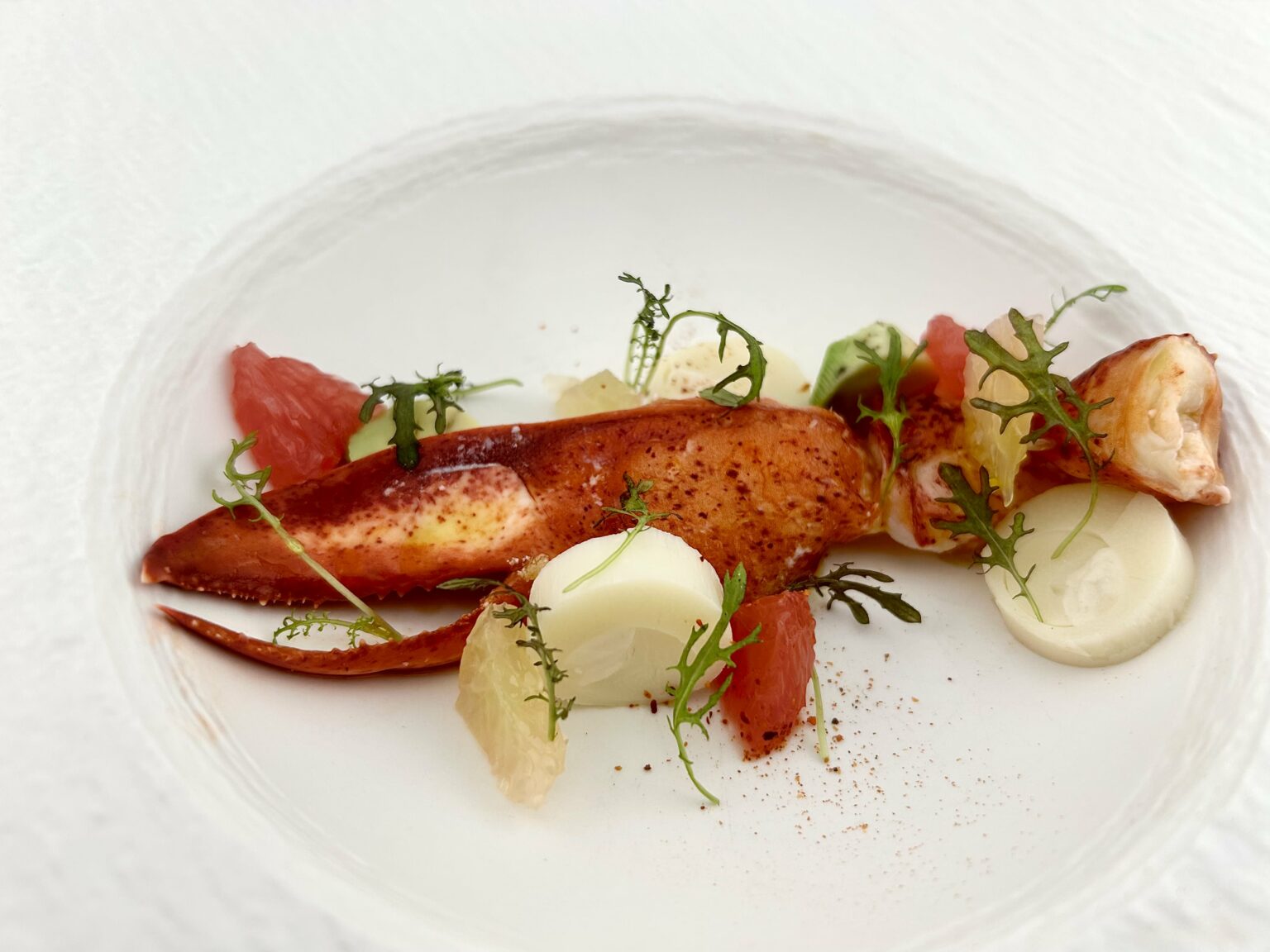 2025 New Year’s Eve Tasting Menu in Lake Geneva, WI – Fine Dining ...